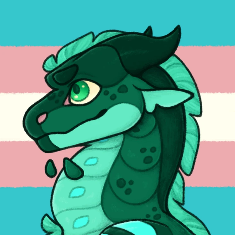 Trans Turtle | Fandom