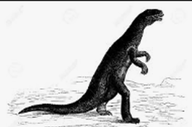 Paleofiles - Zanclodon laevis | Fandom