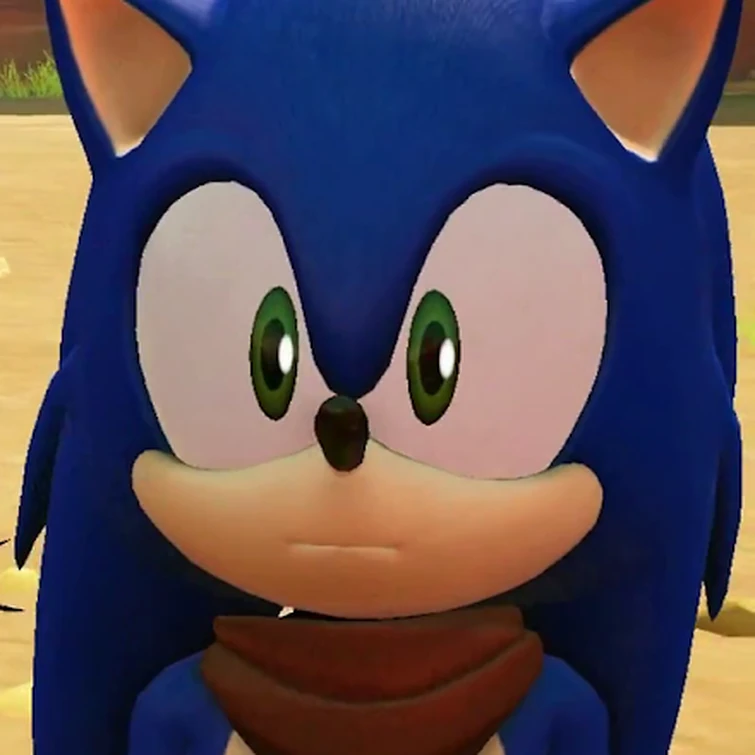 Another Sonic fanfic I regret reading | Fandom