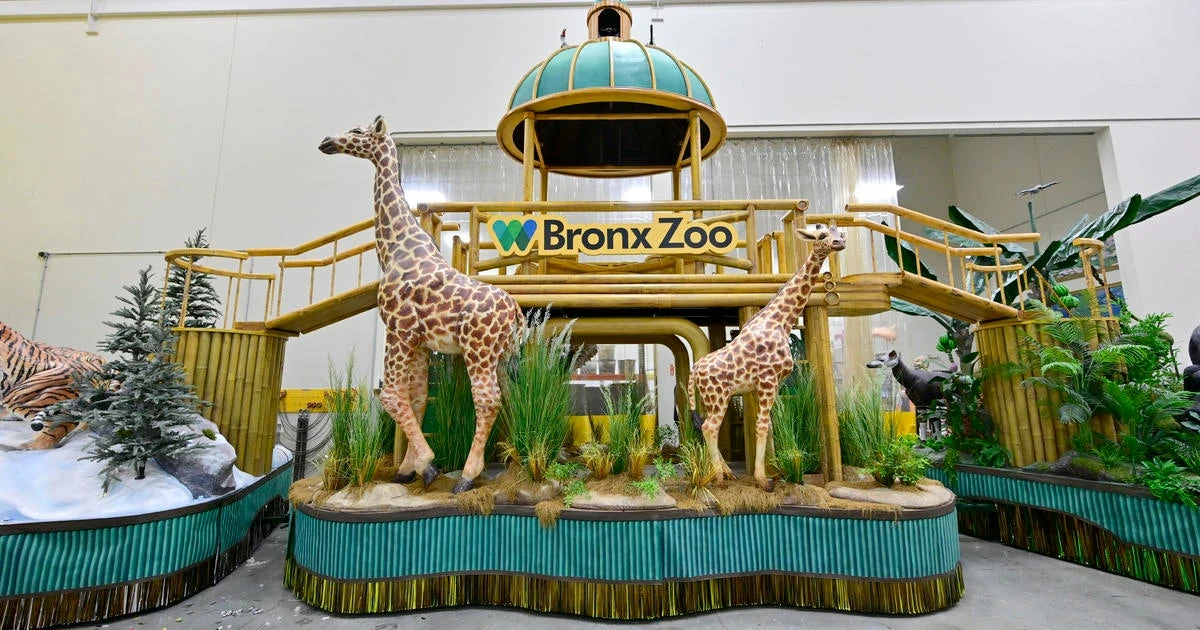 BRONX ZOO CONFIRMED FOR 2025! | Fandom