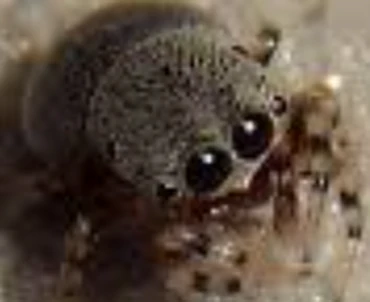 Discuss Everything About Teletraan I: The Transformers Wiki | Fandom