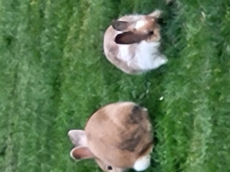 eyebleach needed /nf | Fandom