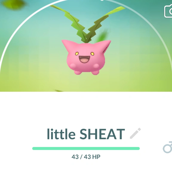 Pokemon gogurt | Fandom