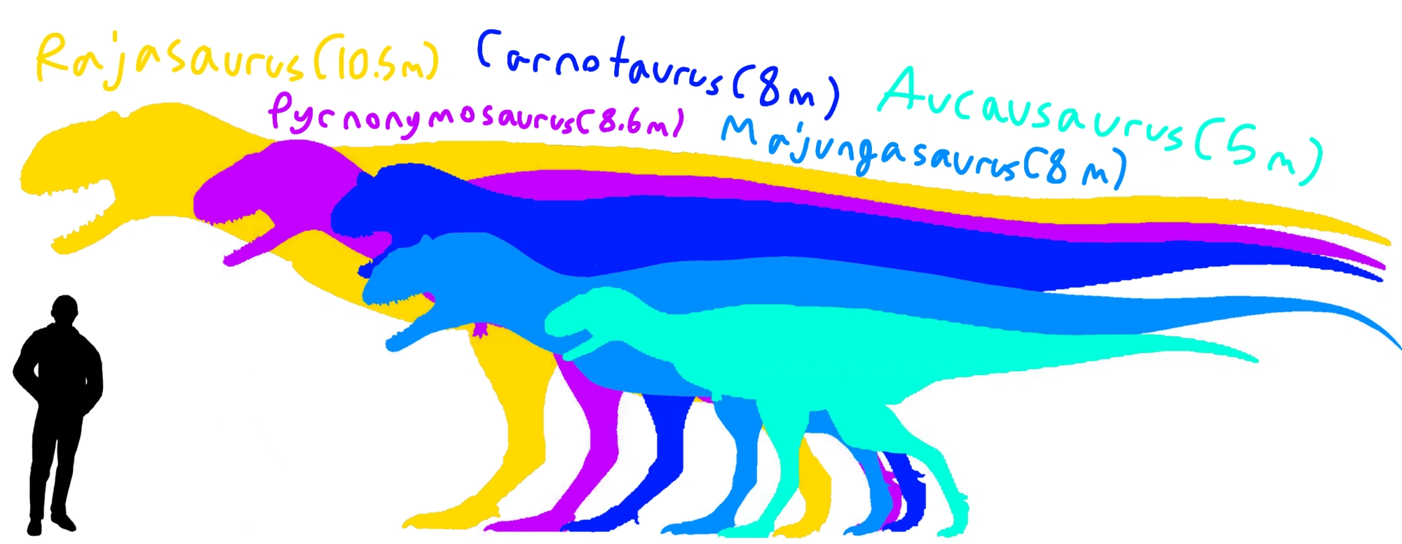 Rajasaurus was the biggest Abelisaur everyone | Fandom