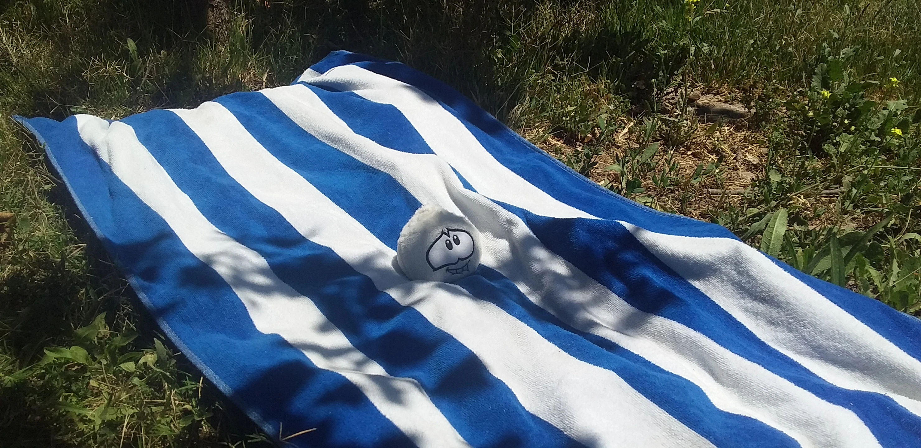 I have spotted Whitey | Fandom