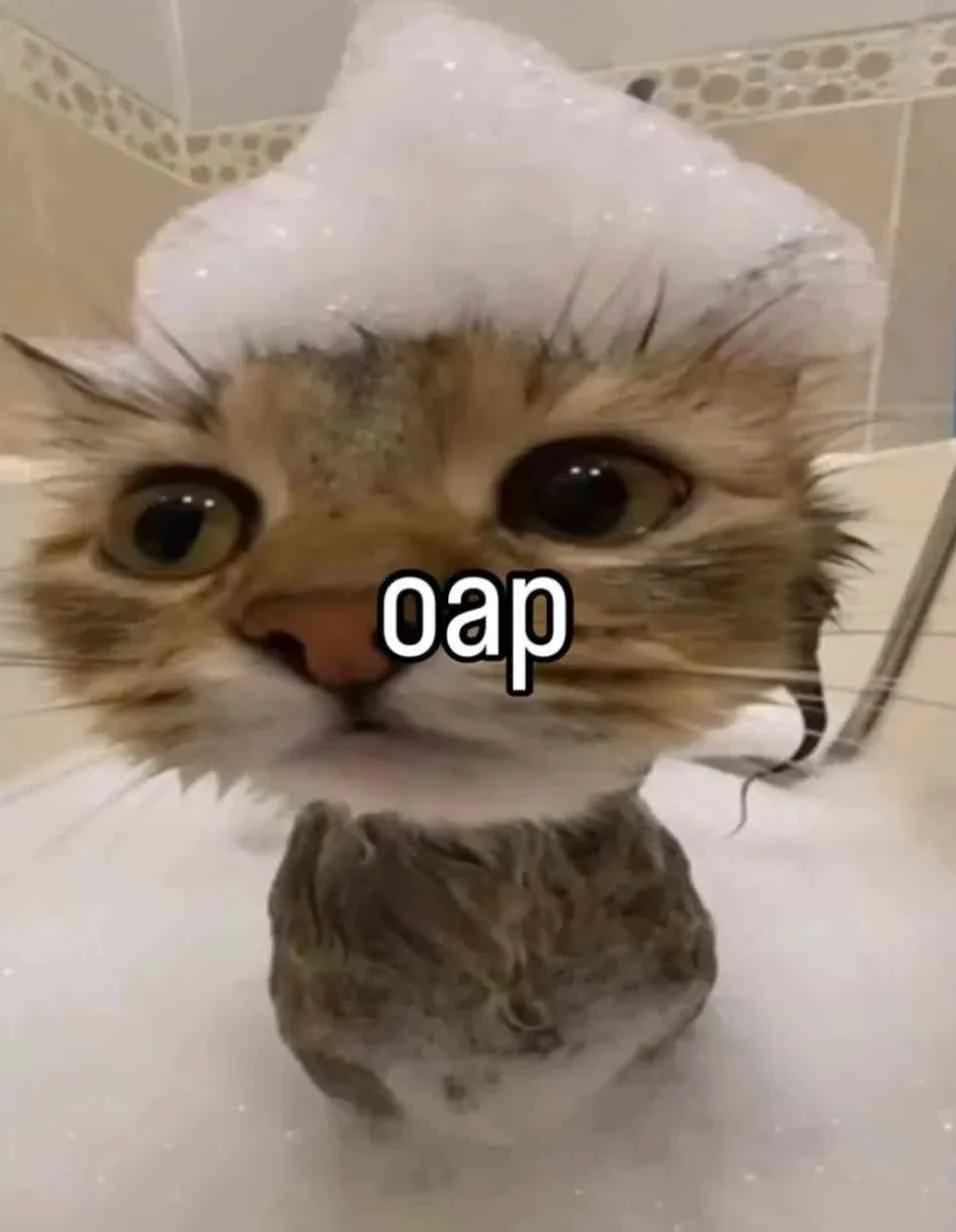 daily meme #463: oap | Fandom