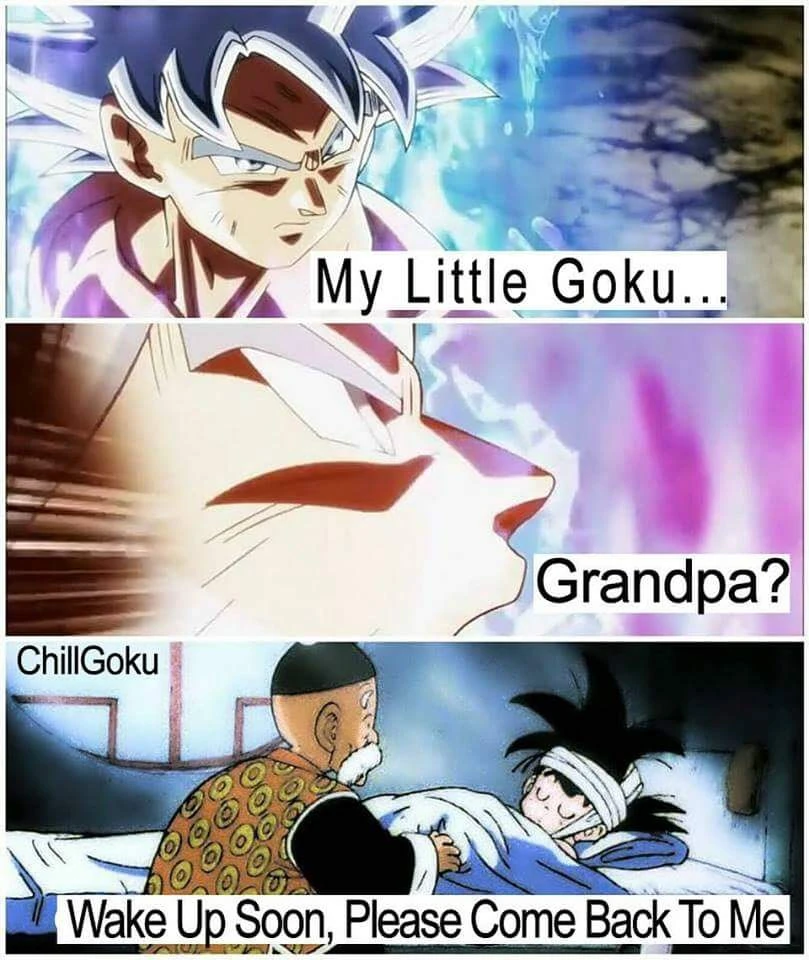 Gokus Dream | Fandom