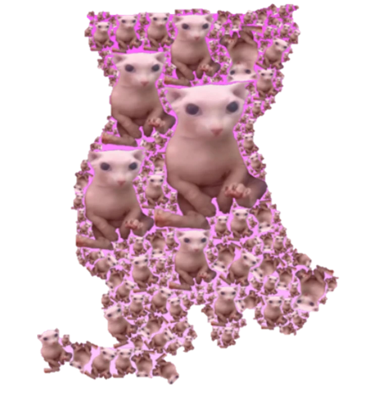 Discuss Everything About Find The Binguses Wiki | Fandom