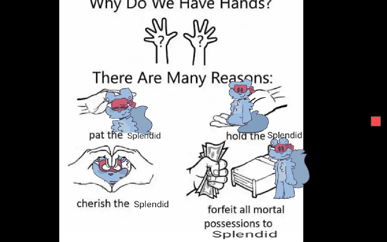 Meme thing I made cuz splendid is just amazing | Fandom