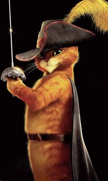 Cat sword fight | Fandom