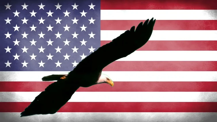 'Merica frick yeah | Fandom