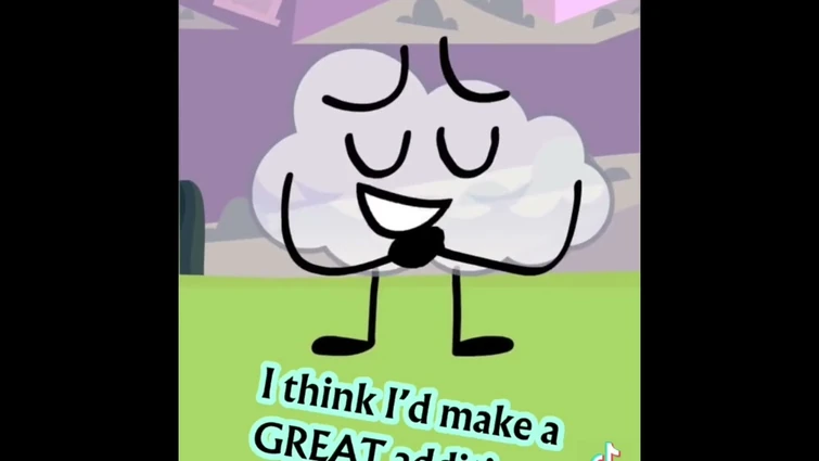 BFB 30 HYPE POST!!! Videos not made by me lol | Fandom