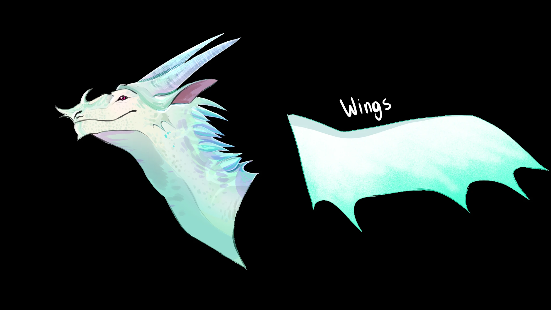 Icewing adopt | Fandom