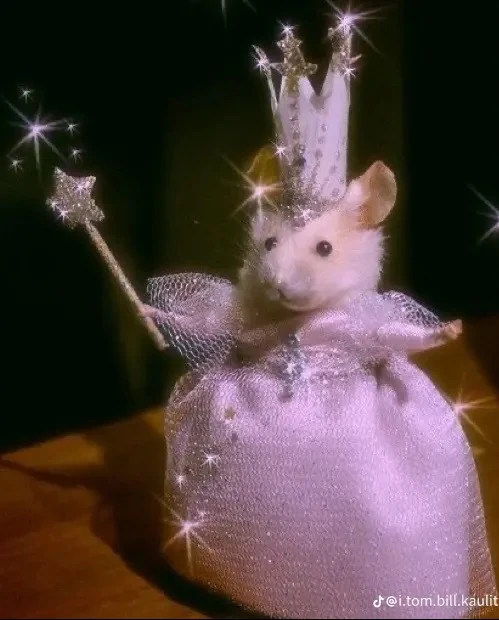 Pretty princess. | Fandom