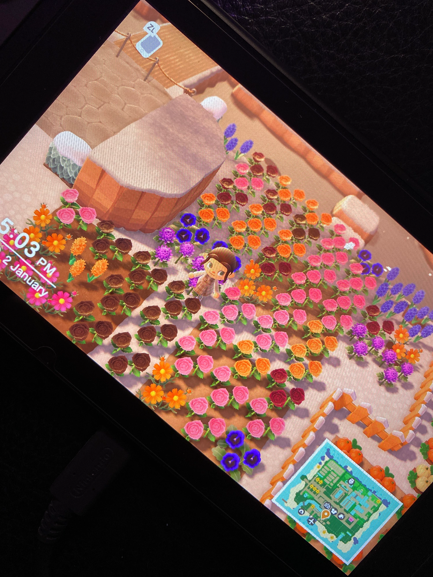 Free flower-dig!!! Plz help | Fandom
