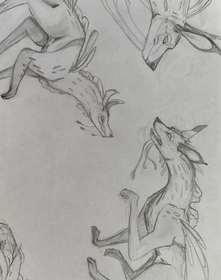 Discuss Everything About Creatures of Sonaria Wiki | Fandom