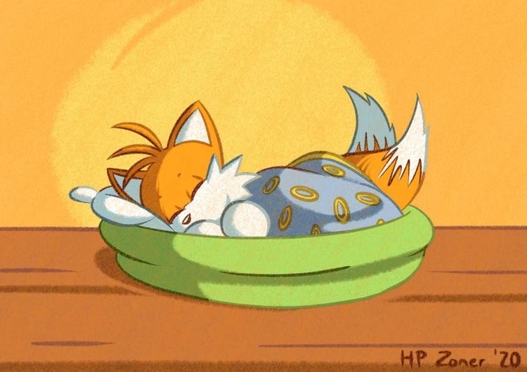 Tails Sleeping | Fandom