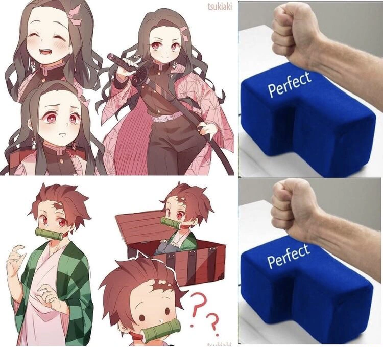 Perfect meme | Fandom