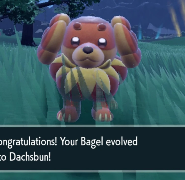 rate this fidough | Fandom