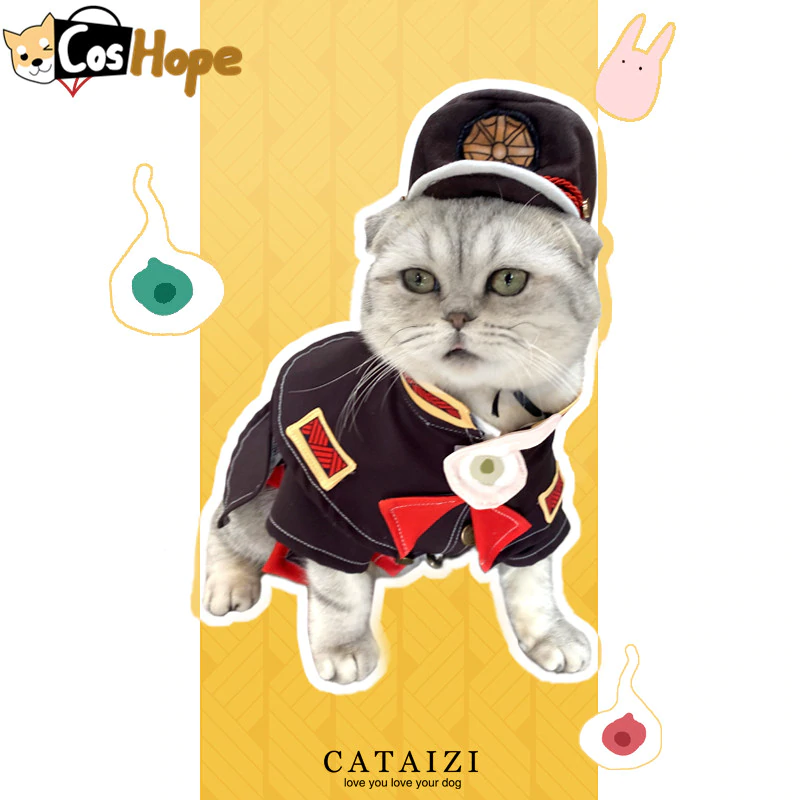 SOMETHING HAPPENED TO MY CAT aAAAAa | Fandom