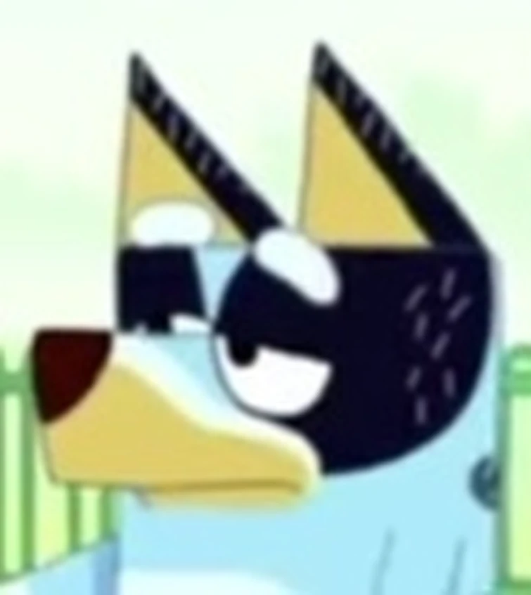 Discuss Everything About Bluey Wiki | Fandom