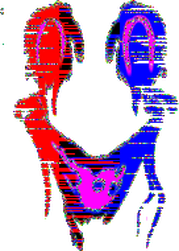 T section but glitchy | Fandom