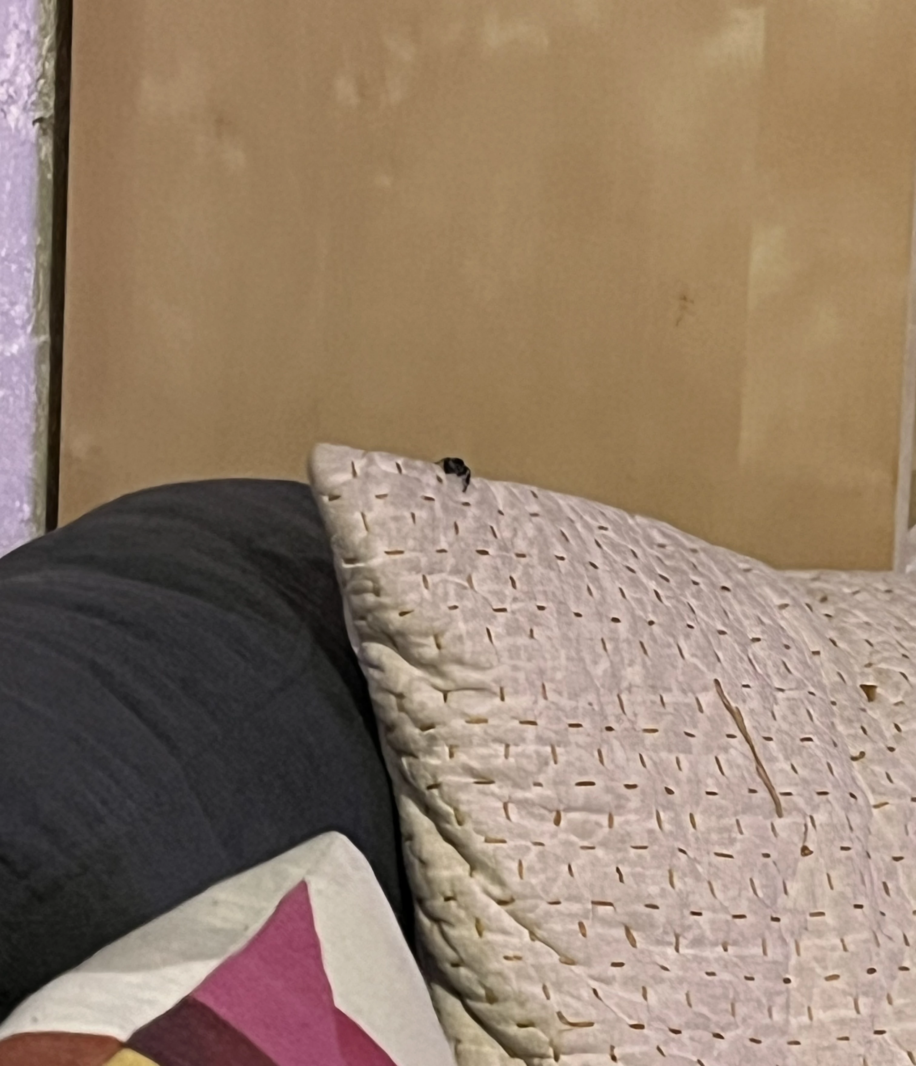 ITS GETTING CLOSER | Fandom