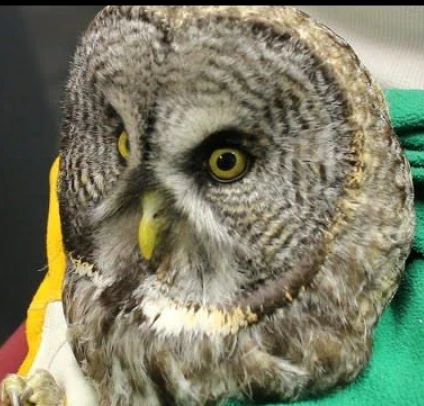 Fungus' uncle here | Fandom