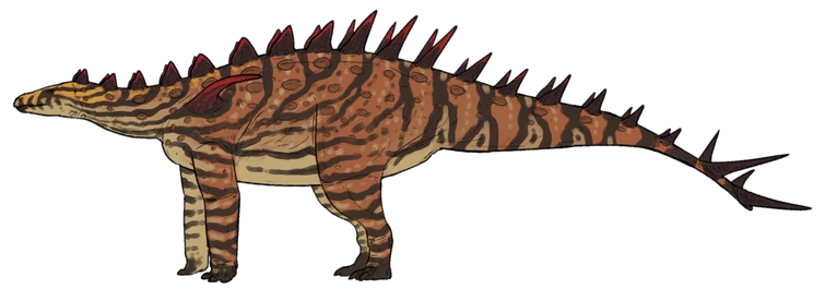 Which stegosaur do you wanna use for your PFP? | Fandom