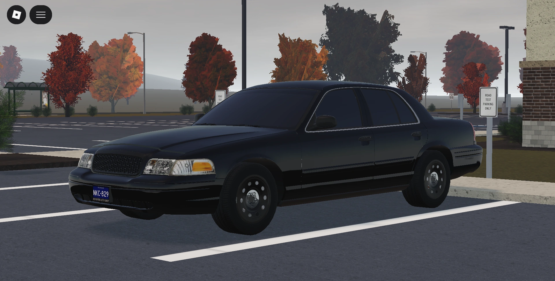 Shitton of decommissioned police cars I own | Fandom