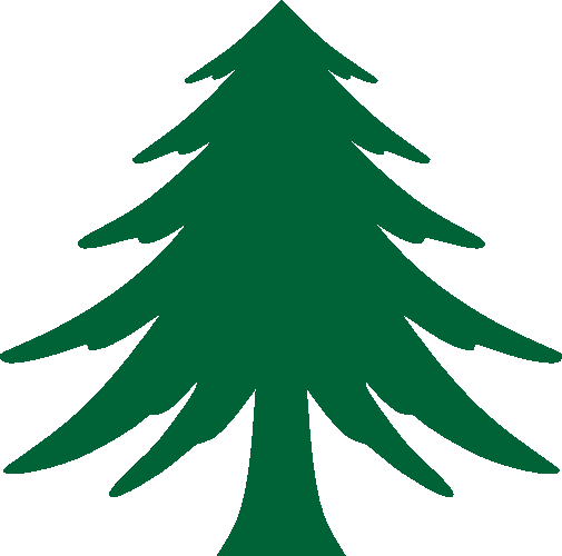 new england but i ripped the tree out of the flag | Fandom