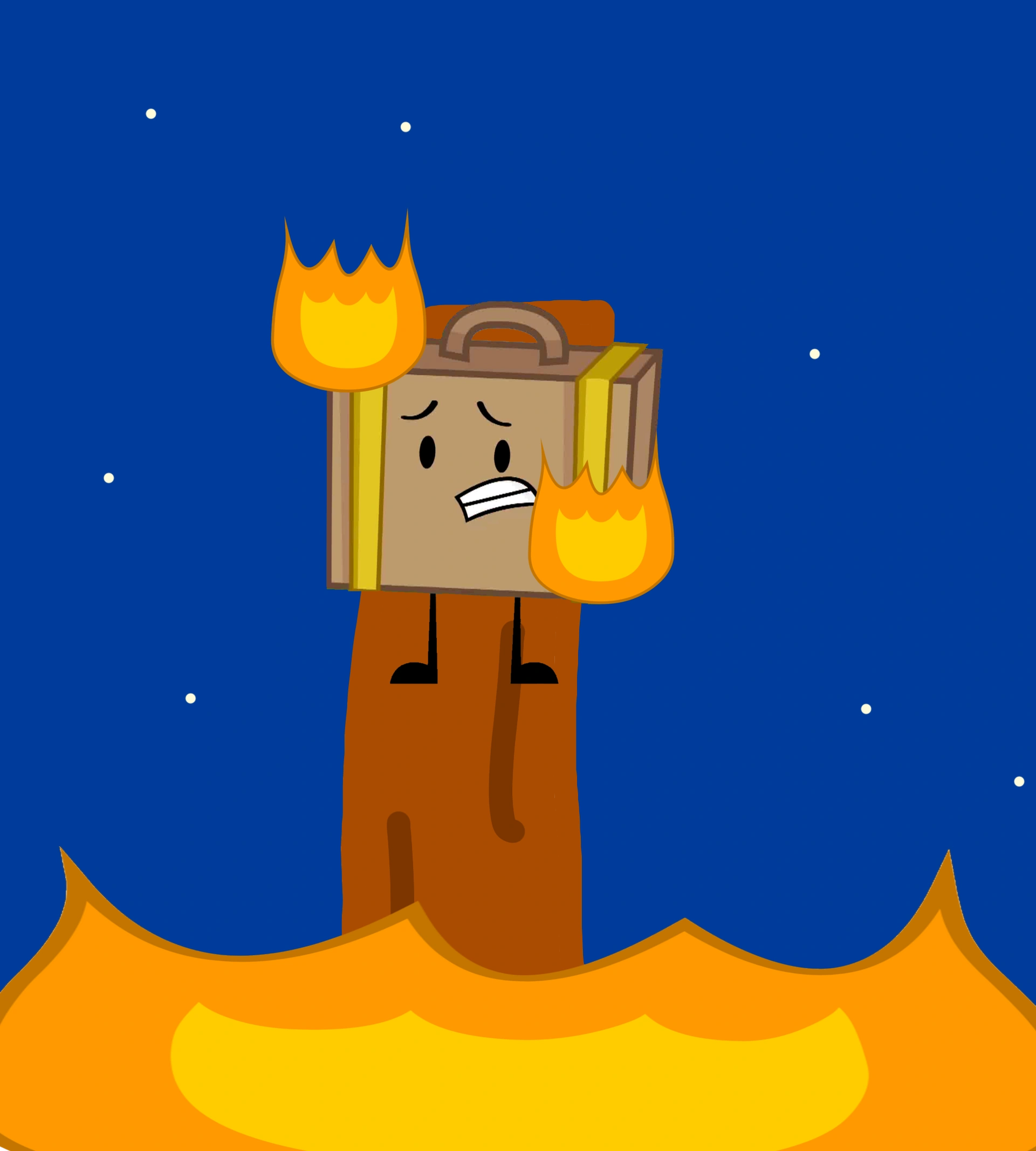 Suitcase burning at the stake | Fandom