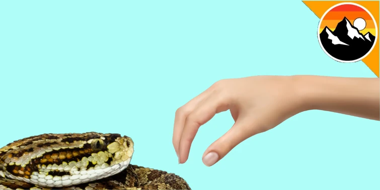 Discuss Everything About Brave Wilderness Wiki | Fandom