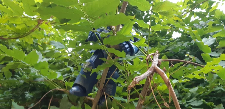 Terminator in a tree. | Fandom