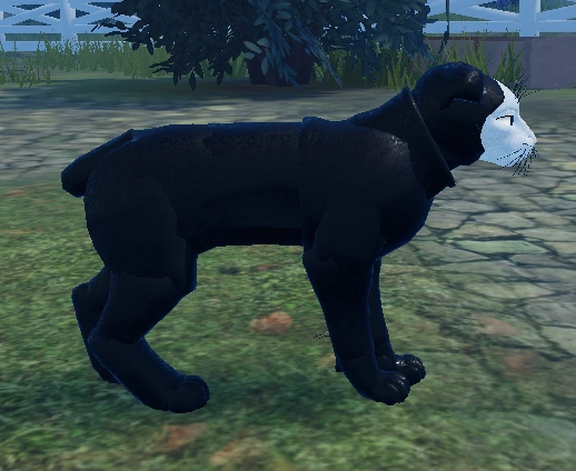 intruder/six cosplay in warrior cats: ultimate edition | Fandom
