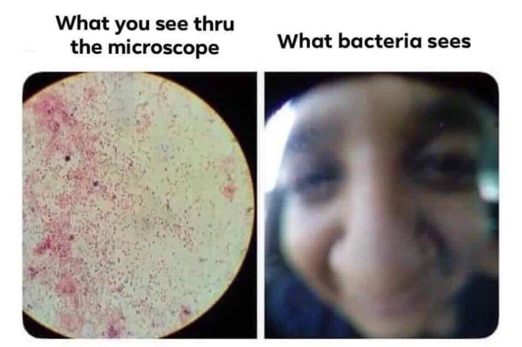 SUGGEST GORE!!! | Fandom