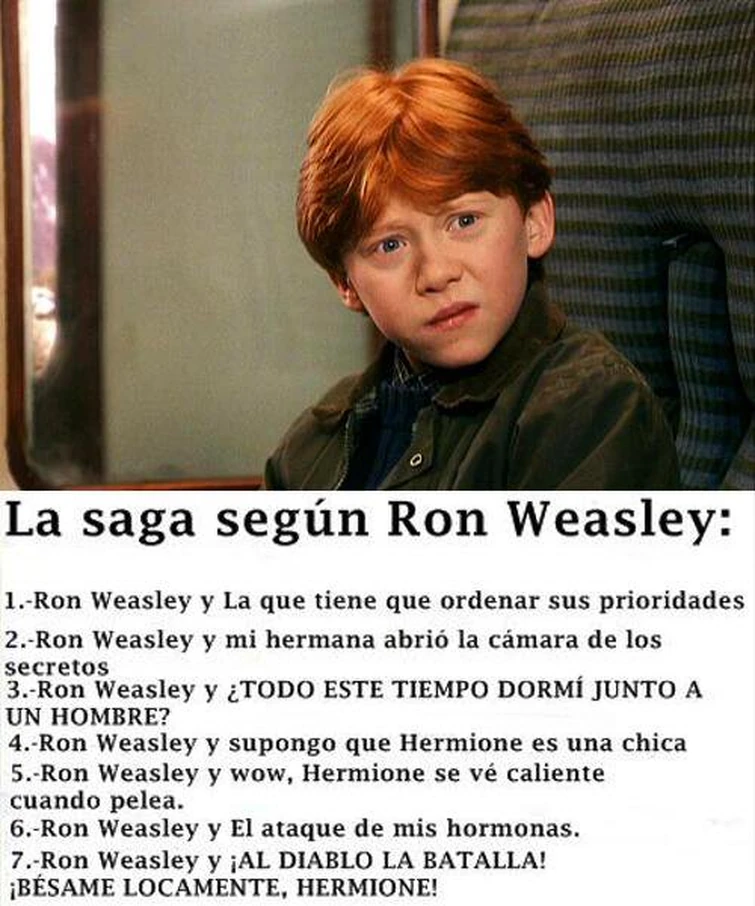 La saga de Harry Potter segun Ron | Fandom