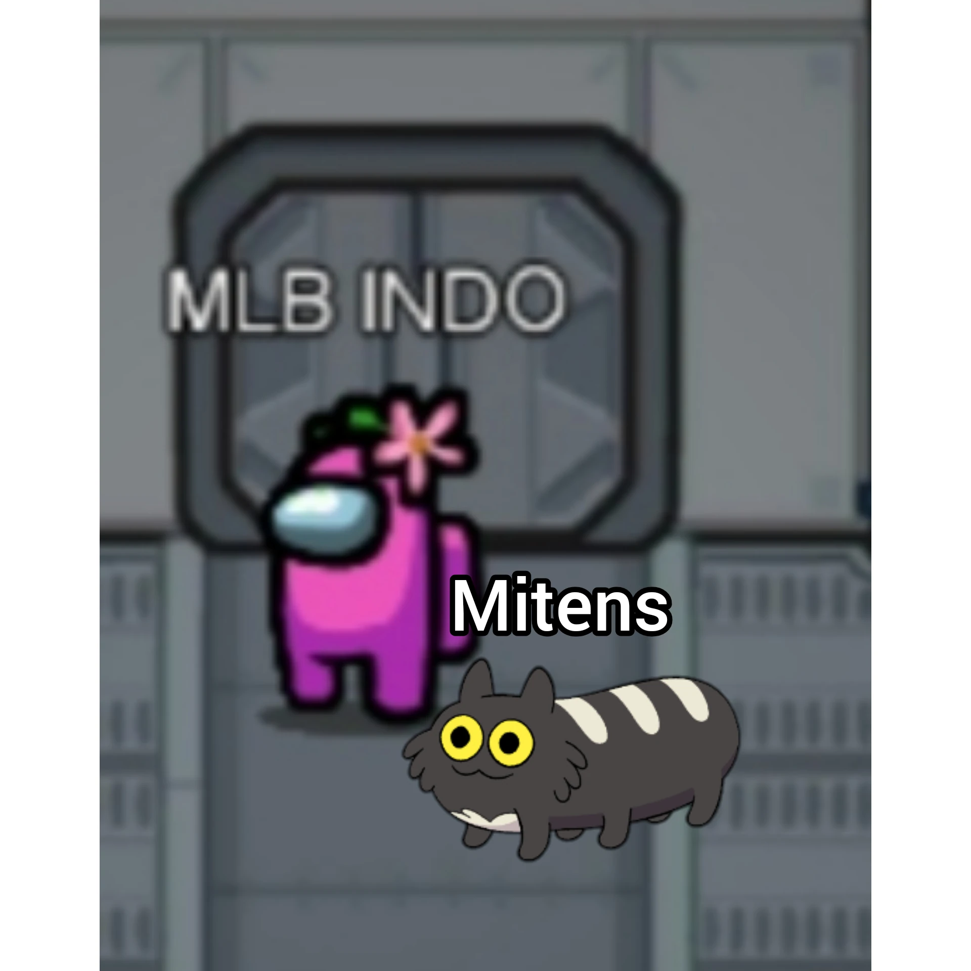 i really wishing among us developer will make cat furr pet | Fandom