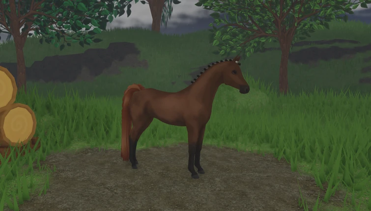 MM auction! (4 horses) | Fandom