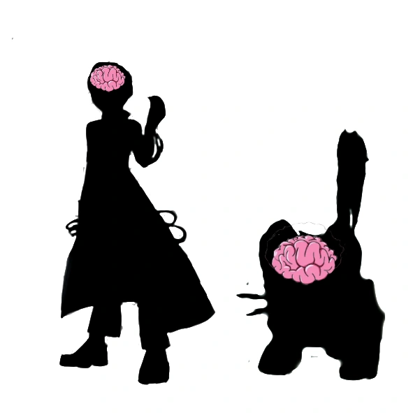 This Got me Curious | Fandom