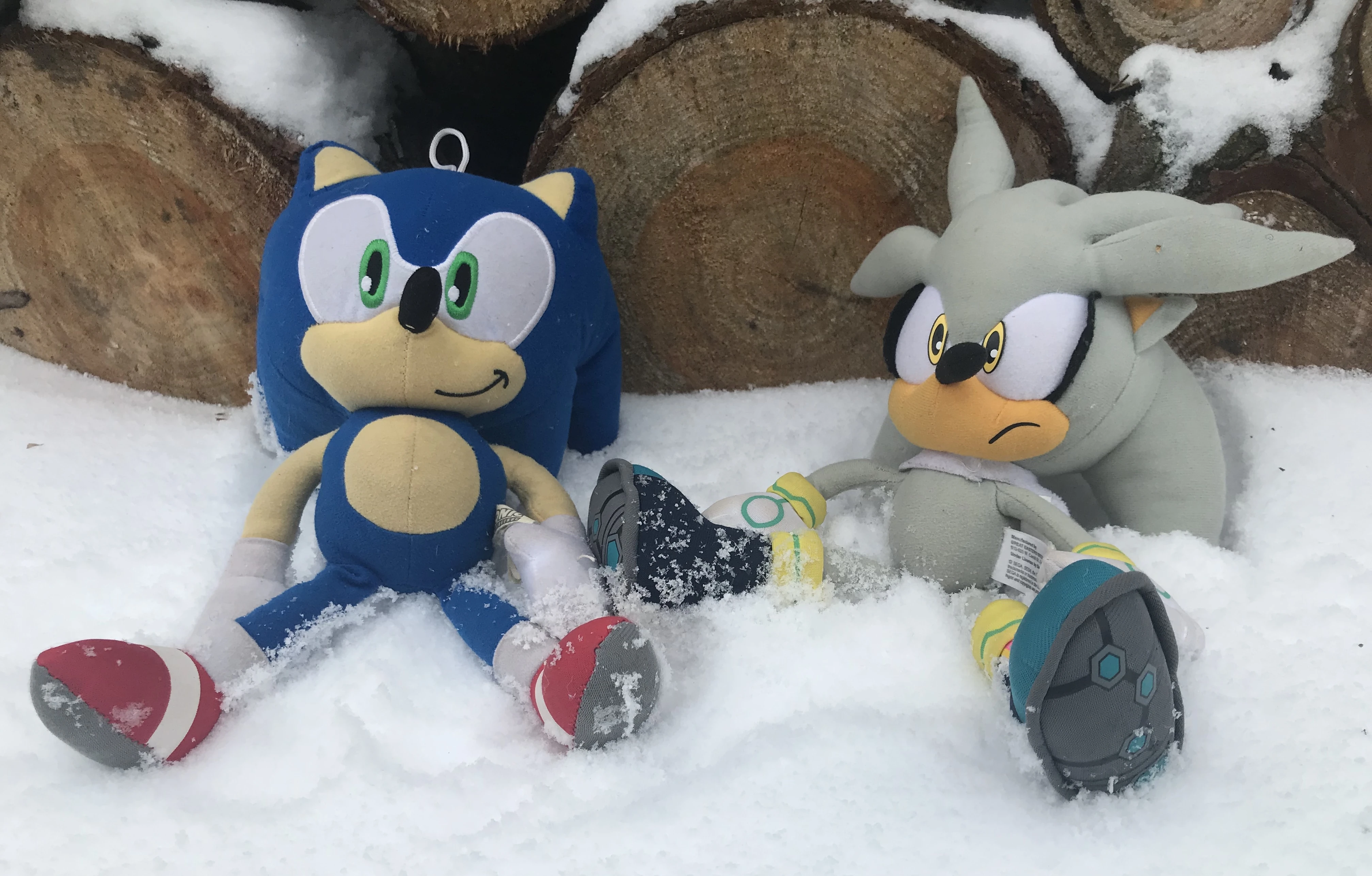 ️ Sonic and Silver in the snow! ️ | Fandom