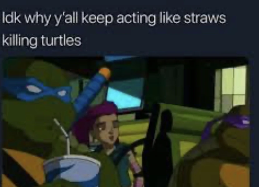 TMNT Meme Of The Day | Fandom