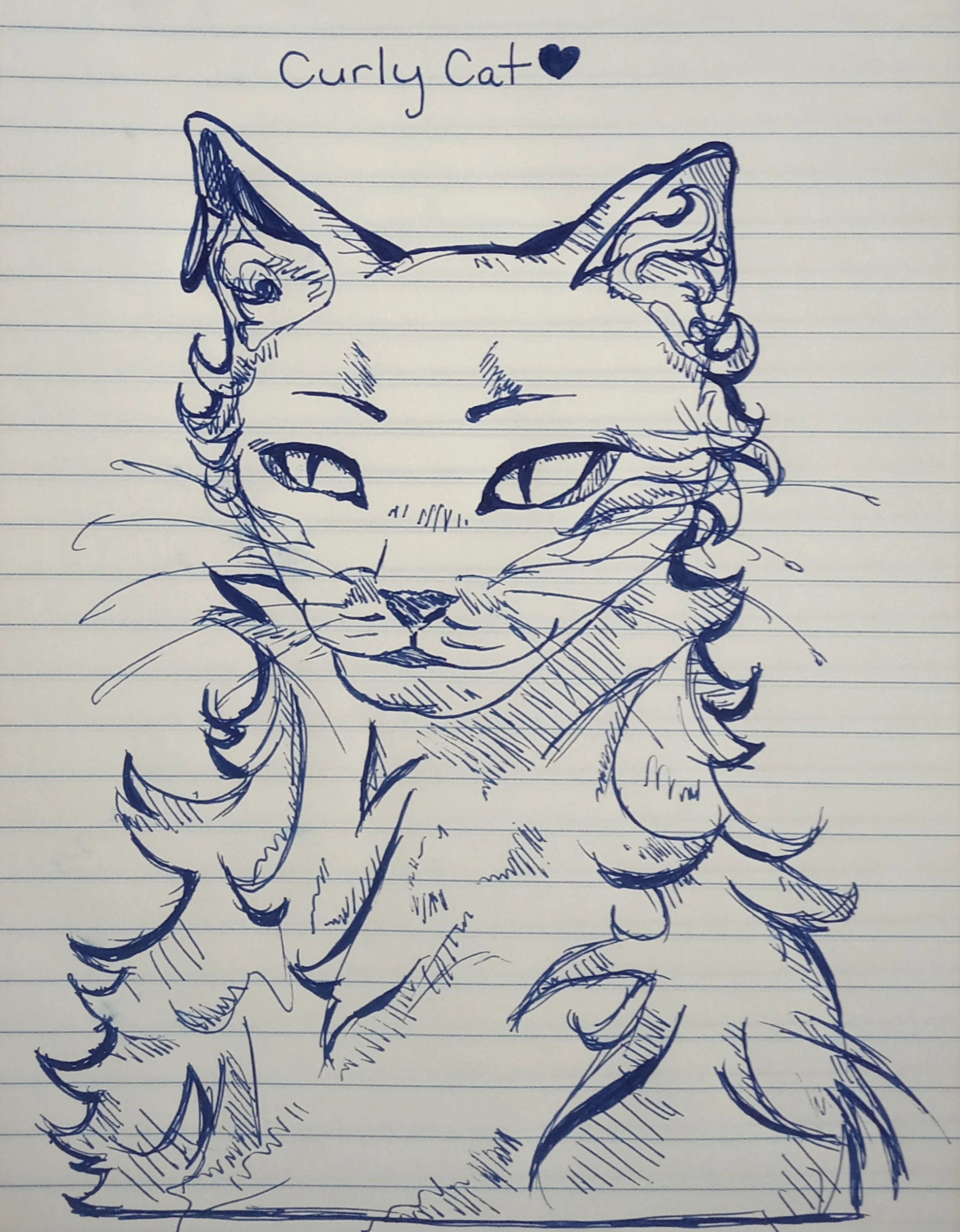 I drew a fantasy curly cat in pen 🌸 | Fandom