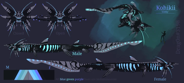 Kohikii's redesign | Fandom