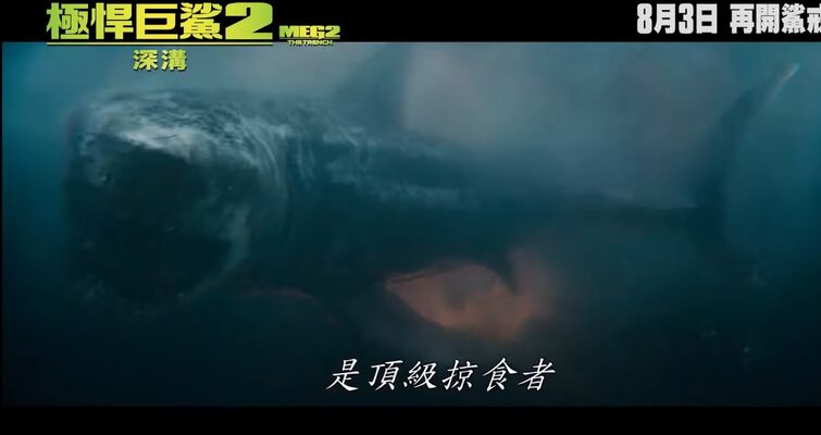 How big is this Megalodon? | Fandom