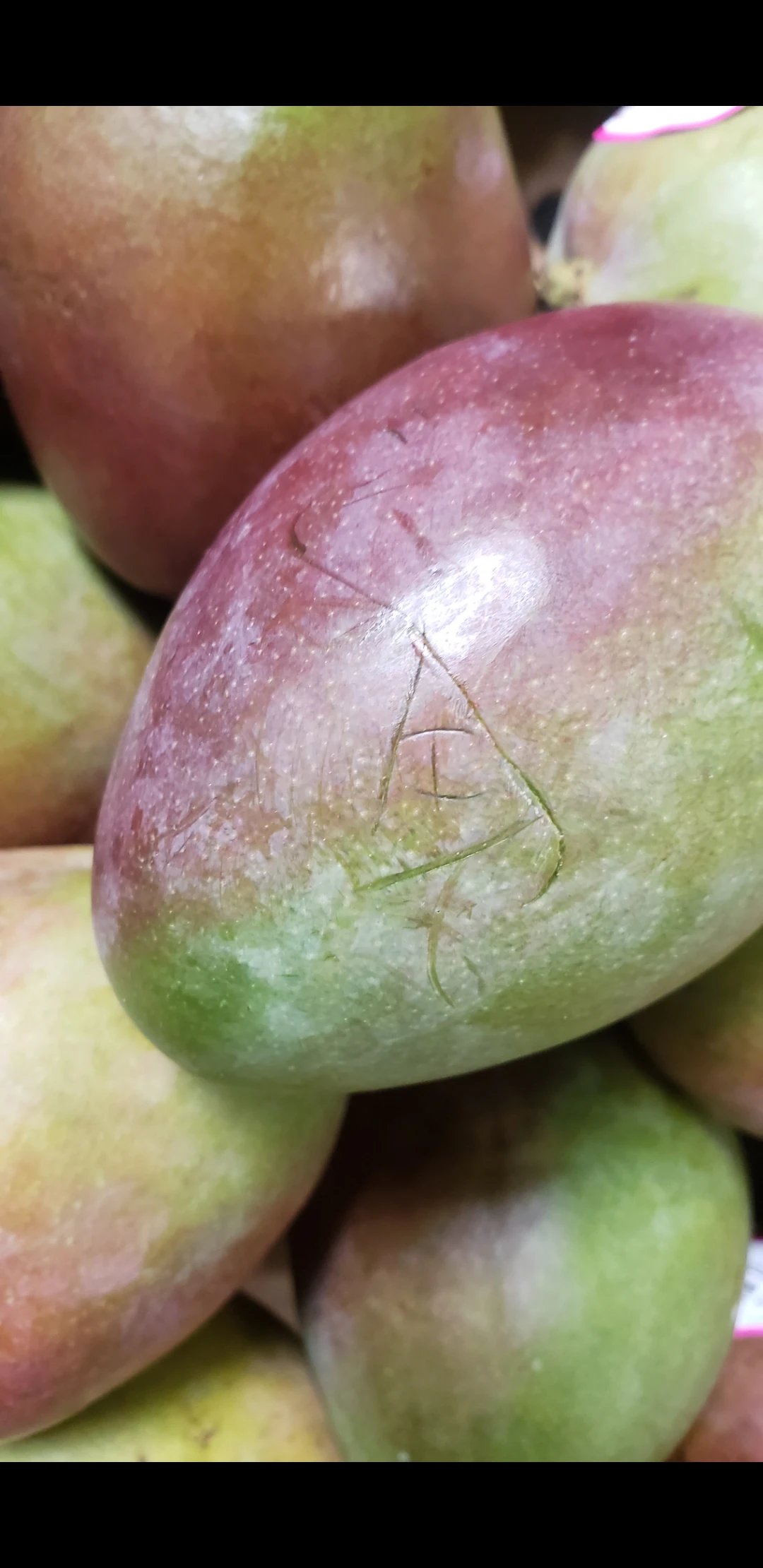 HE'S IN MY MANGO!!! | Fandom