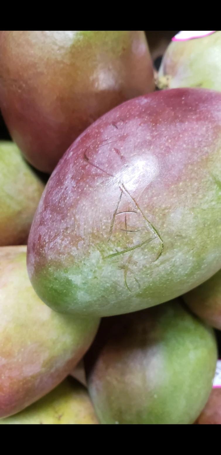 Discuss Everything About Gravity Falls Wiki | Fandom