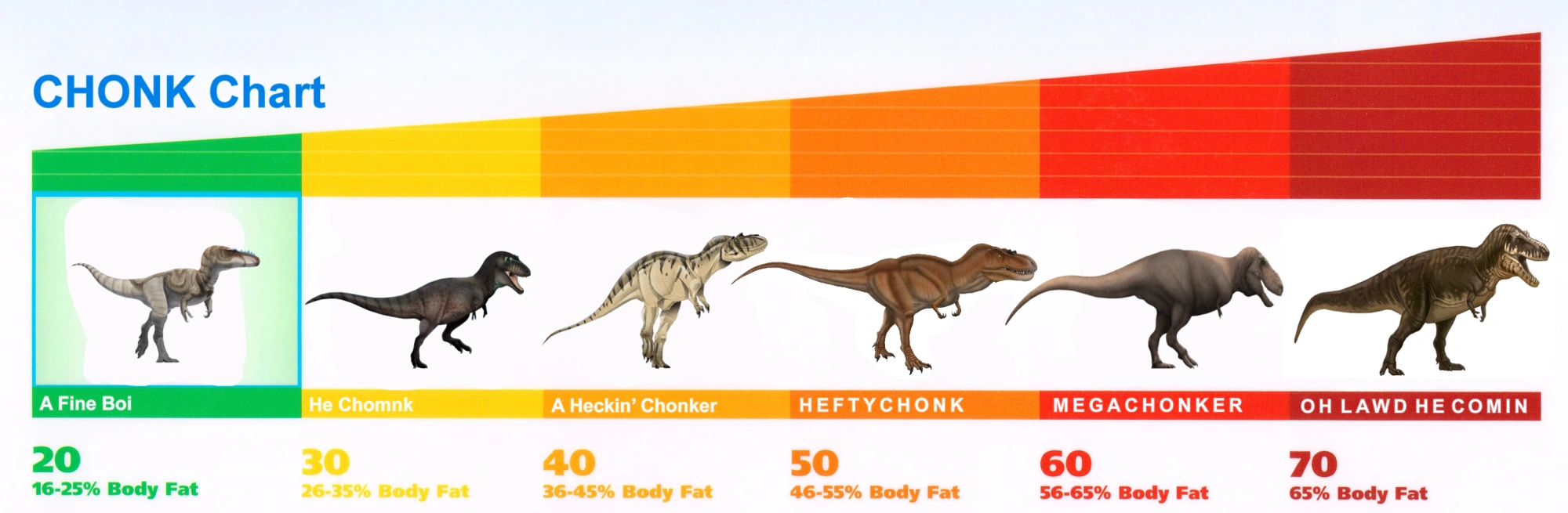 The Tyrannosauridae chonk chart | Fandom