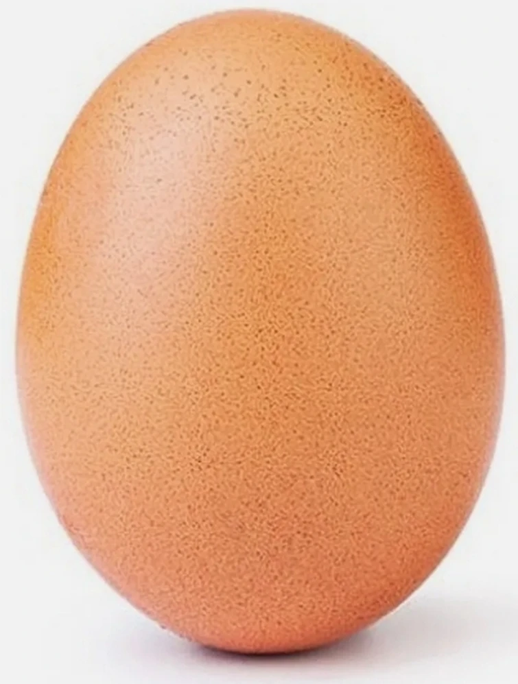 EGG | Fandom