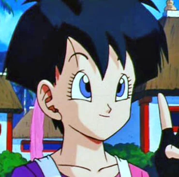 Best/Favorite Videl hairstyle | Fandom